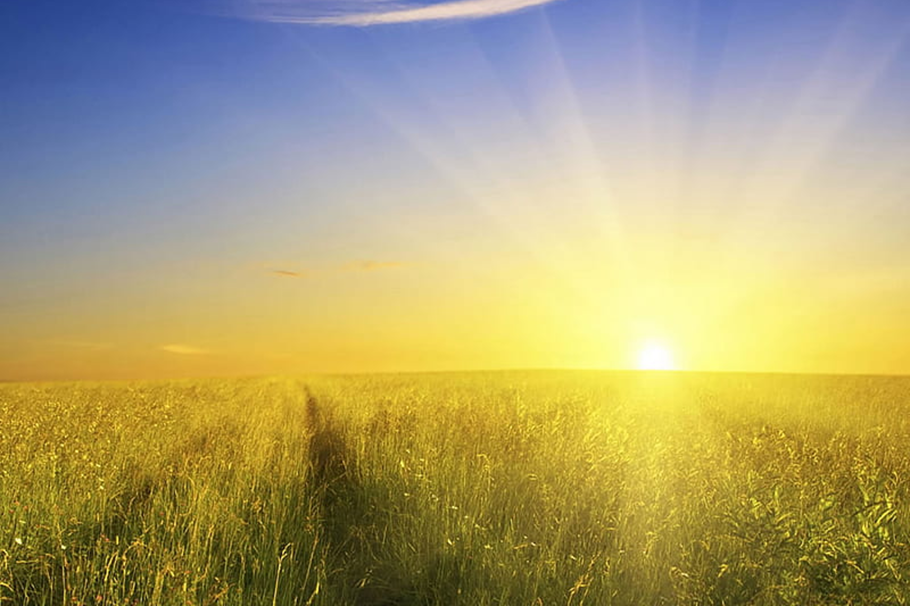 eShare Blog » eShare